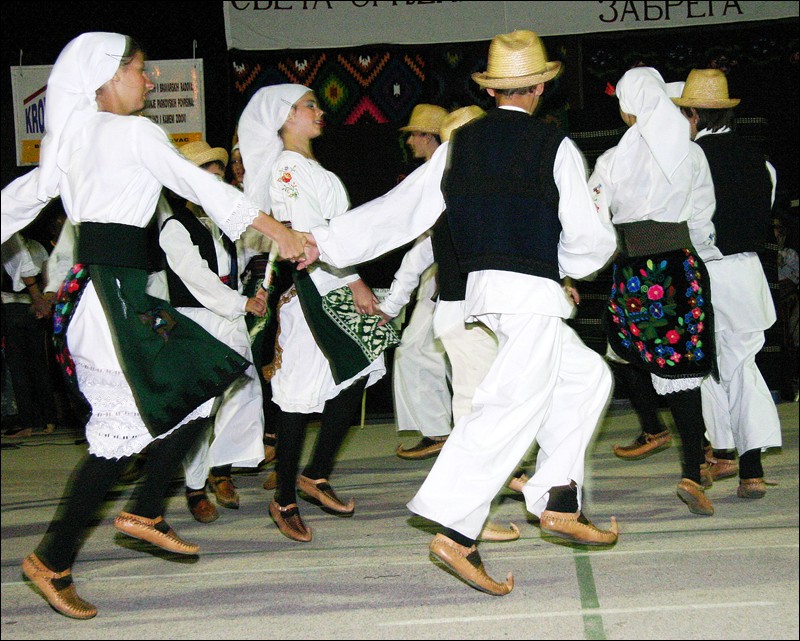 SABOR ZA OCUVANJE BASTINE - SELO ZABREGA - PARACIN
